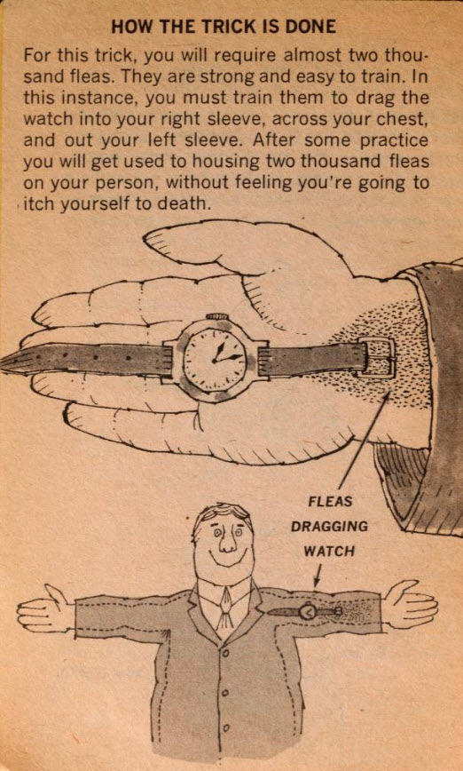 How the Trick is Done – Mathematical Mysteries