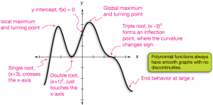 Characteristics of Polynomials – Mathematical Mysteries