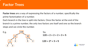 Factor Tree – Mathematical Mysteries