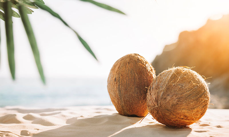 Are you suggesting coconuts migrate? or Where in the world did ...